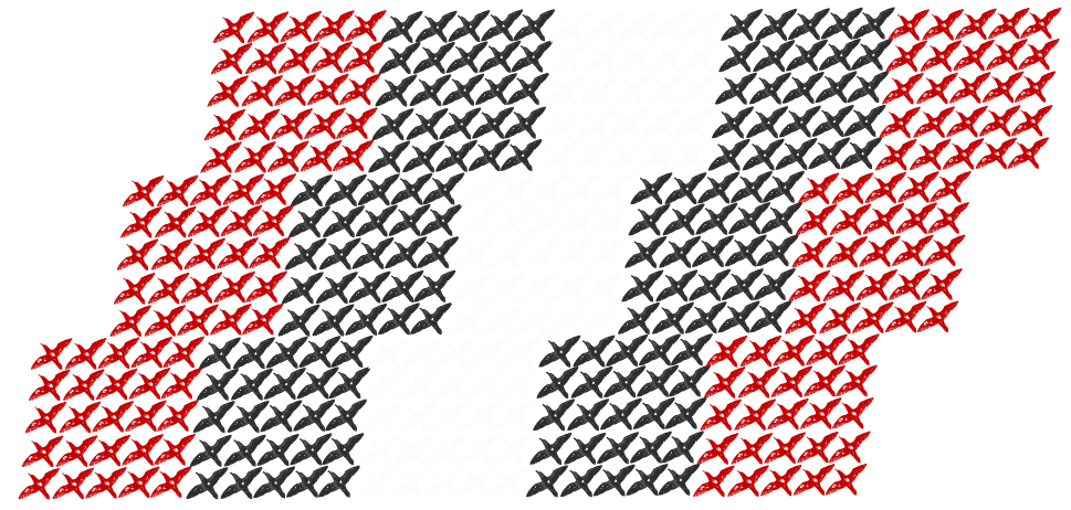 Pride of Poutama Muttonbirds